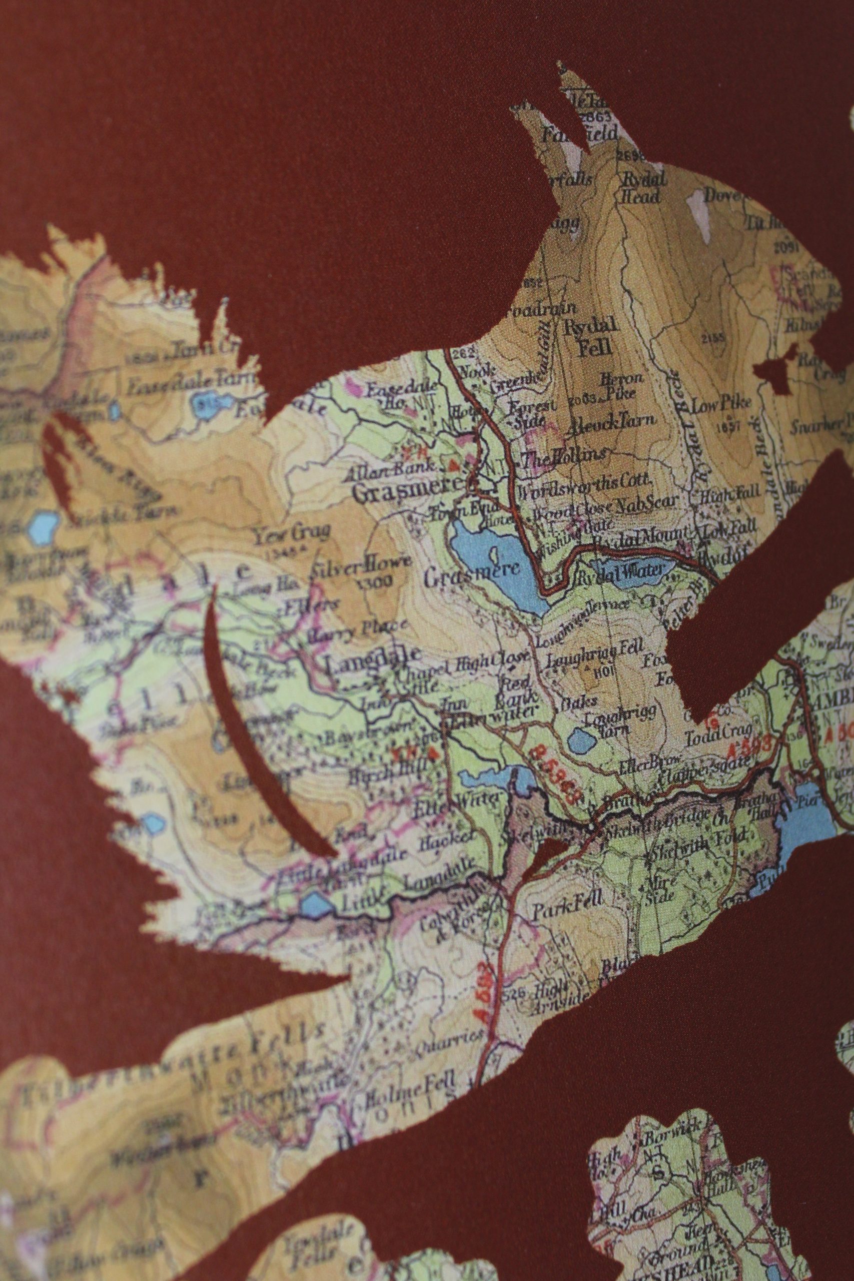Unframed, A4 Mounted Print of a Grasmere Map Through a Red Squirrel ...
