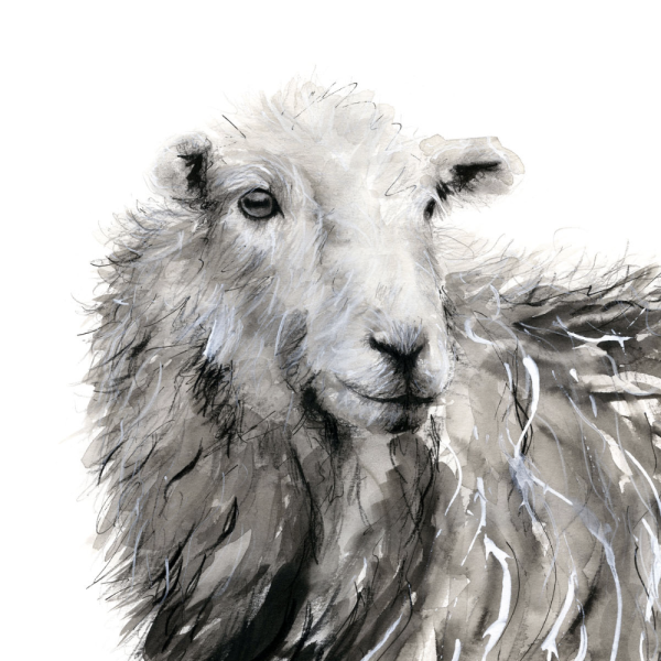 'Mabel', Signed Limited Edition Print Available in Two Sizes ...